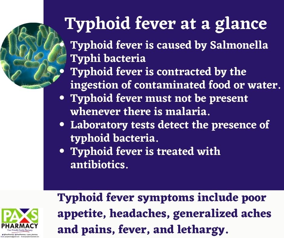 Typhoid fever: causes, symptoms, and preventive measures – Paxs Pharmacy